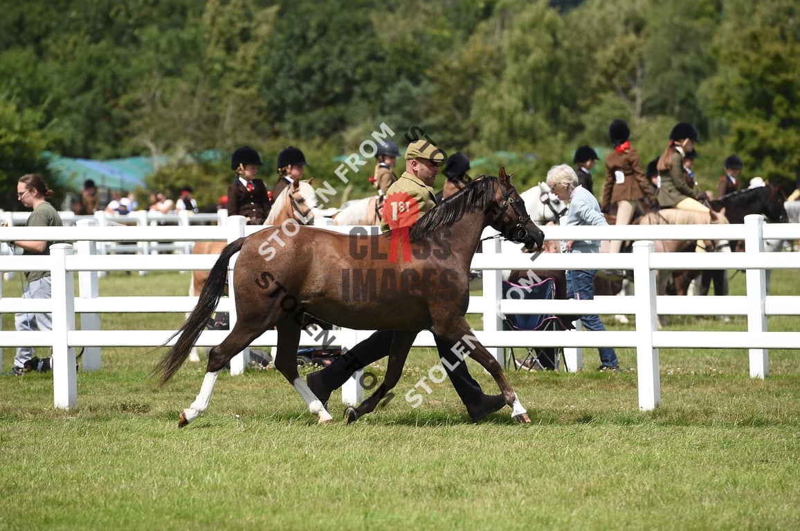 A87_7835 2024 - 1st Class Images