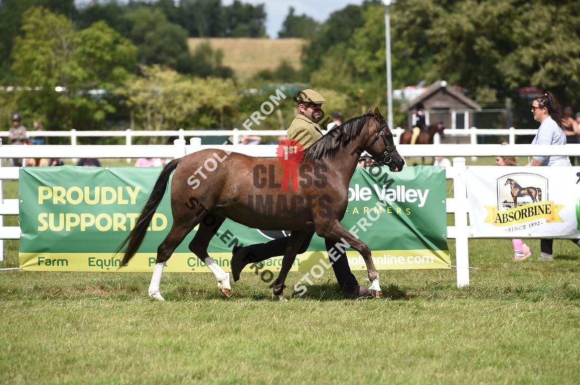 A87_7839 2024 - 1st Class Images