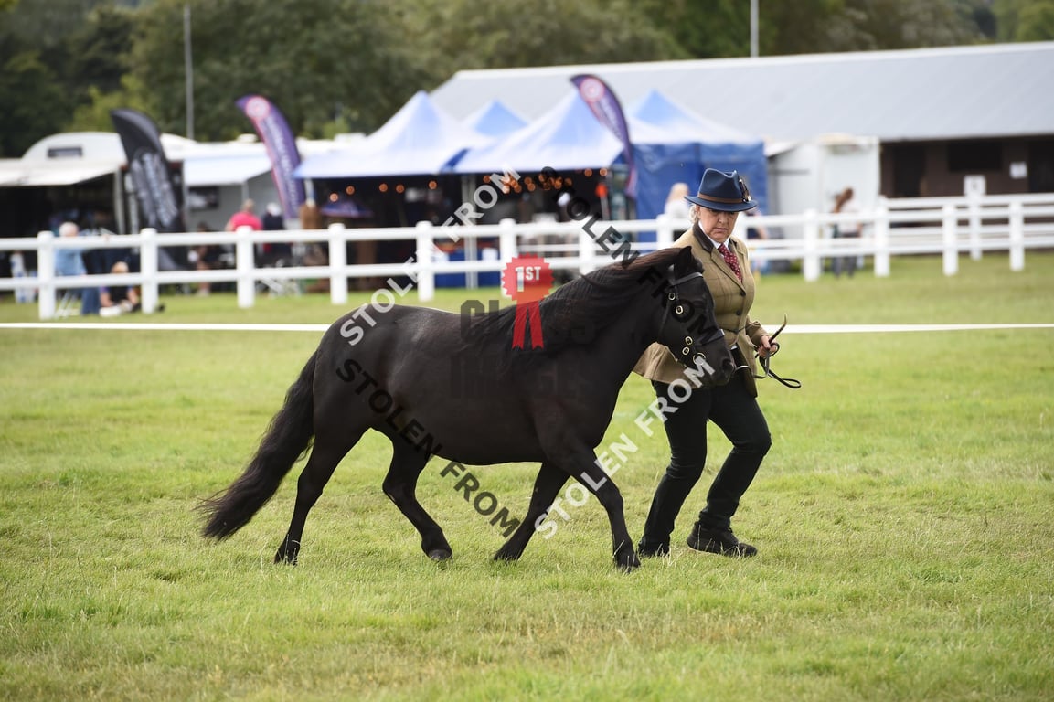 A87_7851 2024 - 1st Class Images