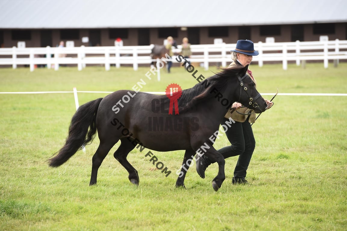 A87_7854 2024 - 1st Class Images