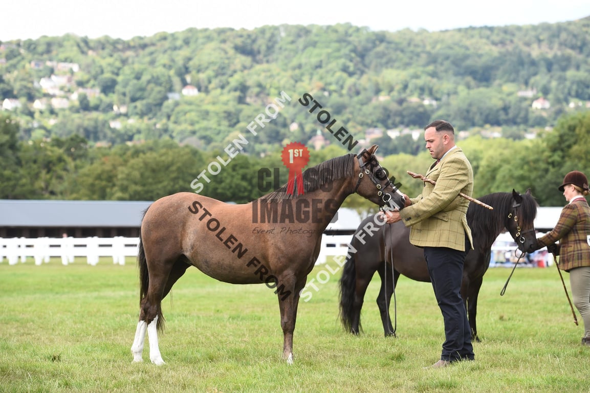 A87_7963 2024 - 1st Class Images