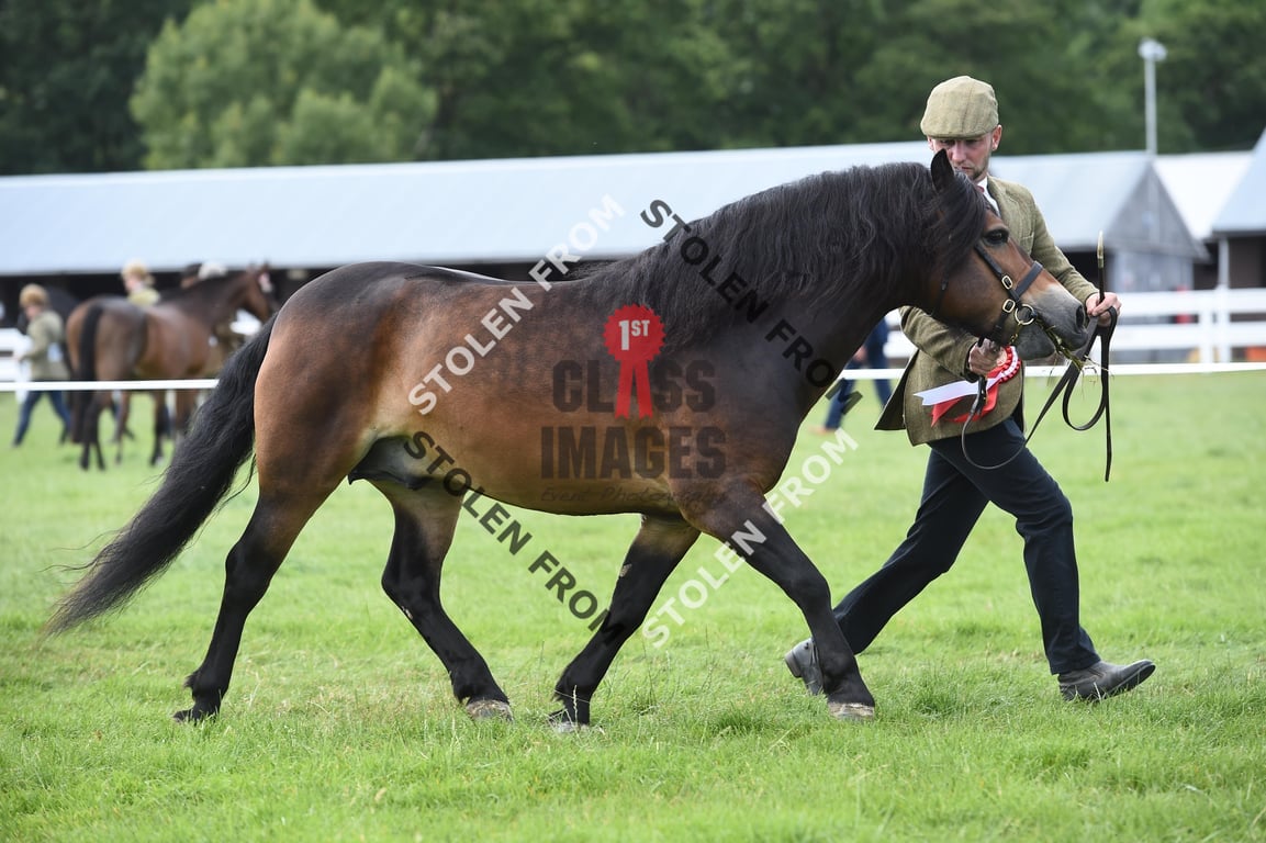 A87_7982 2024 - 1st Class Images