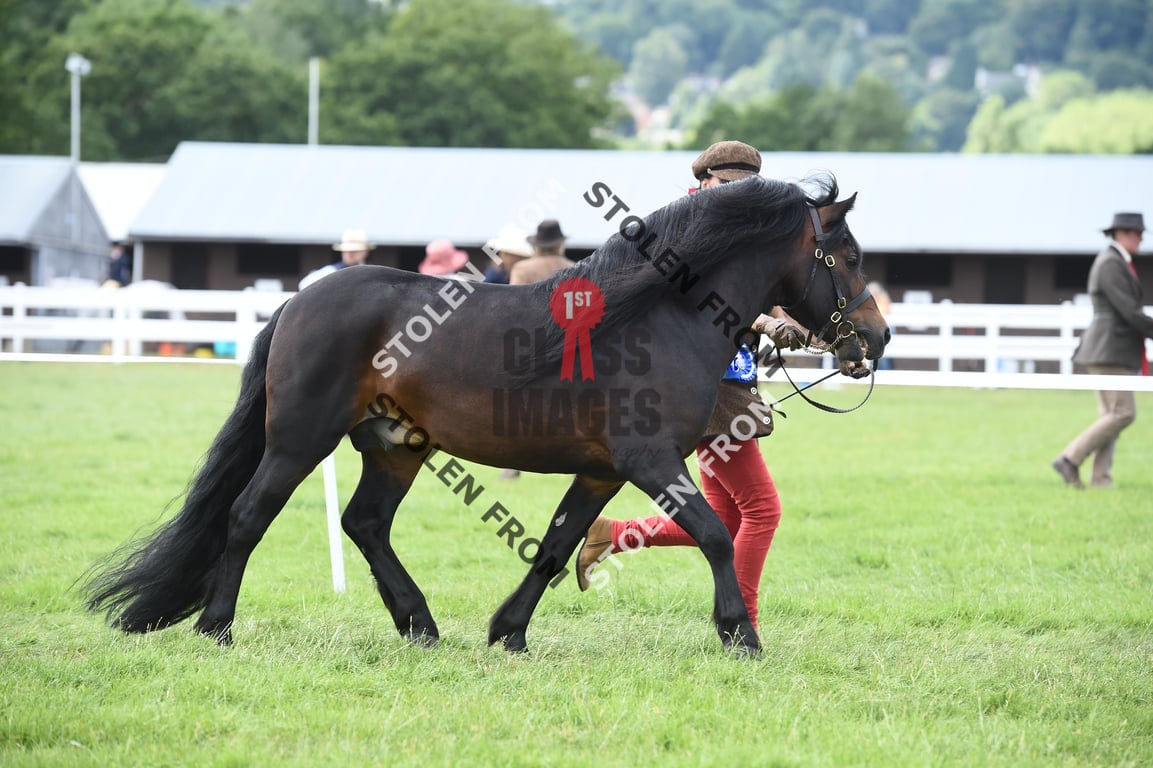 A87_7984 2024 - 1st Class Images