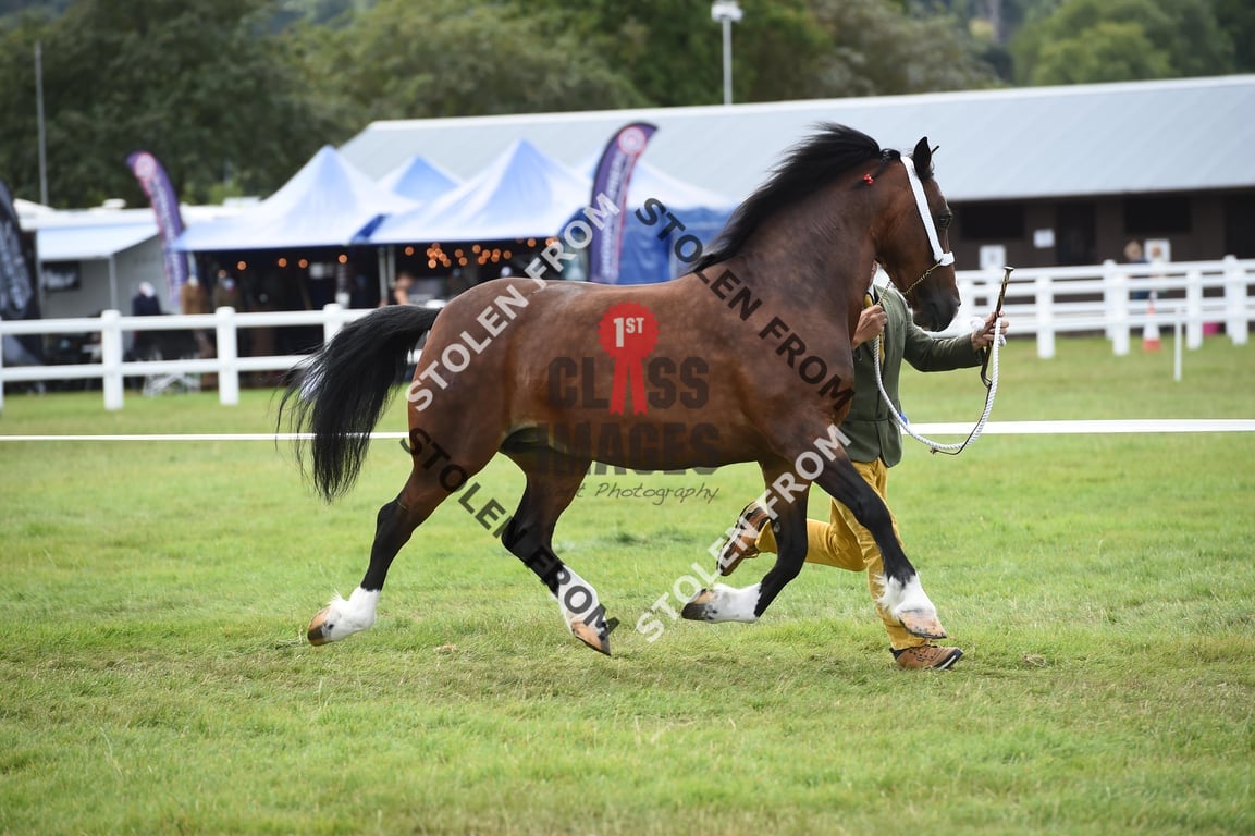 A87_8082 2024 - 1st Class Images