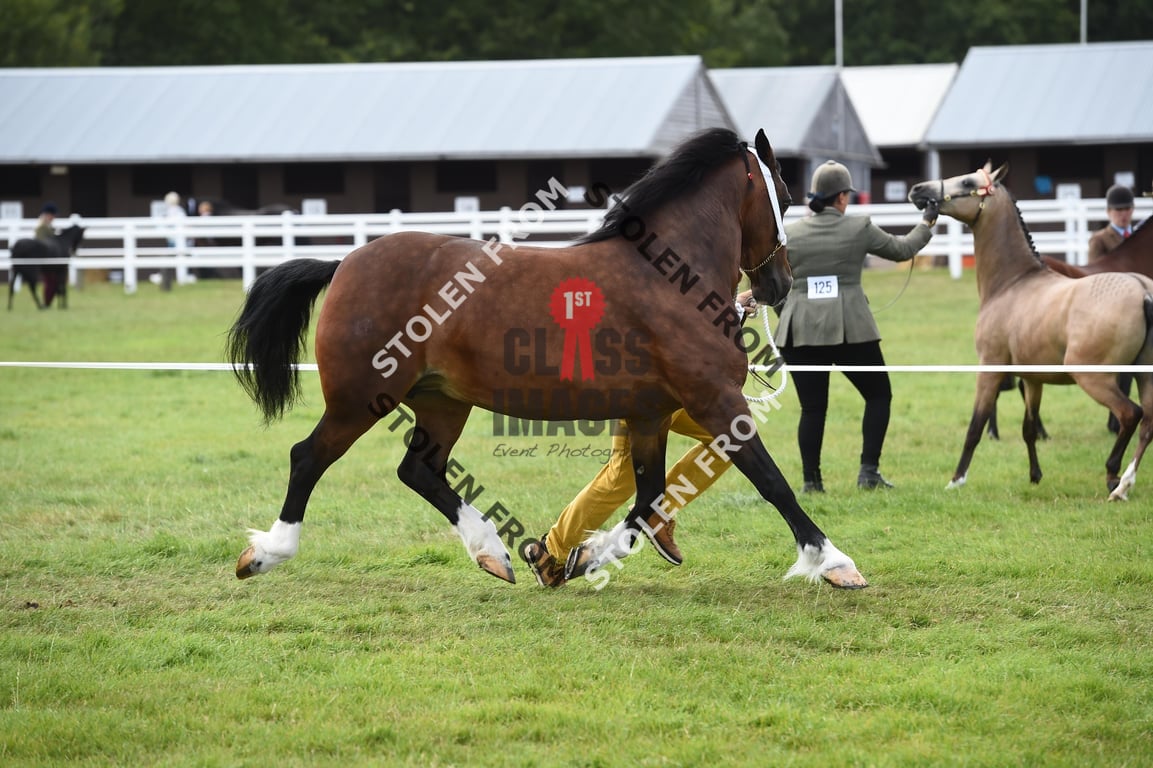 A87_8084 2024 - 1st Class Images