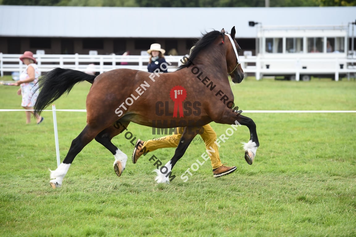 A87_8086 2024 - 1st Class Images