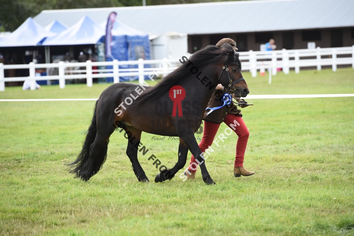 A87_8088 2024 - 1st Class Images