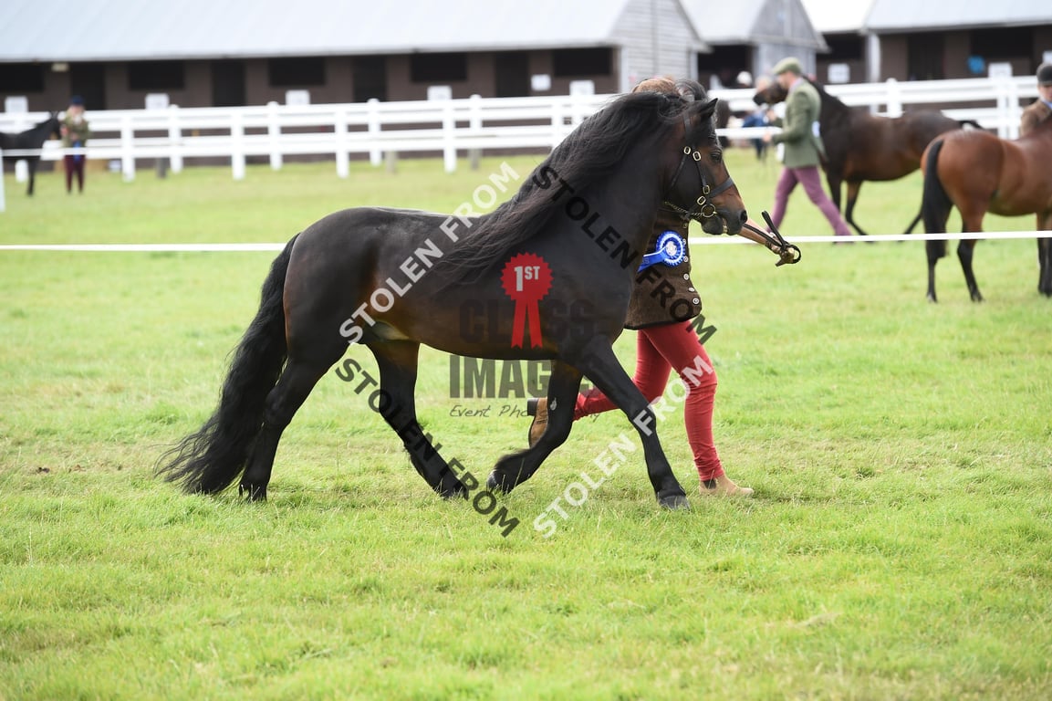 A87_8090 2024 - 1st Class Images