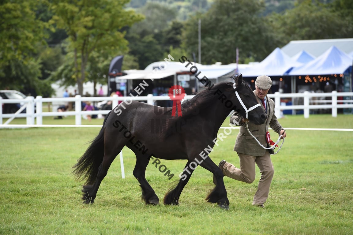 A87_8093 2024 - 1st Class Images