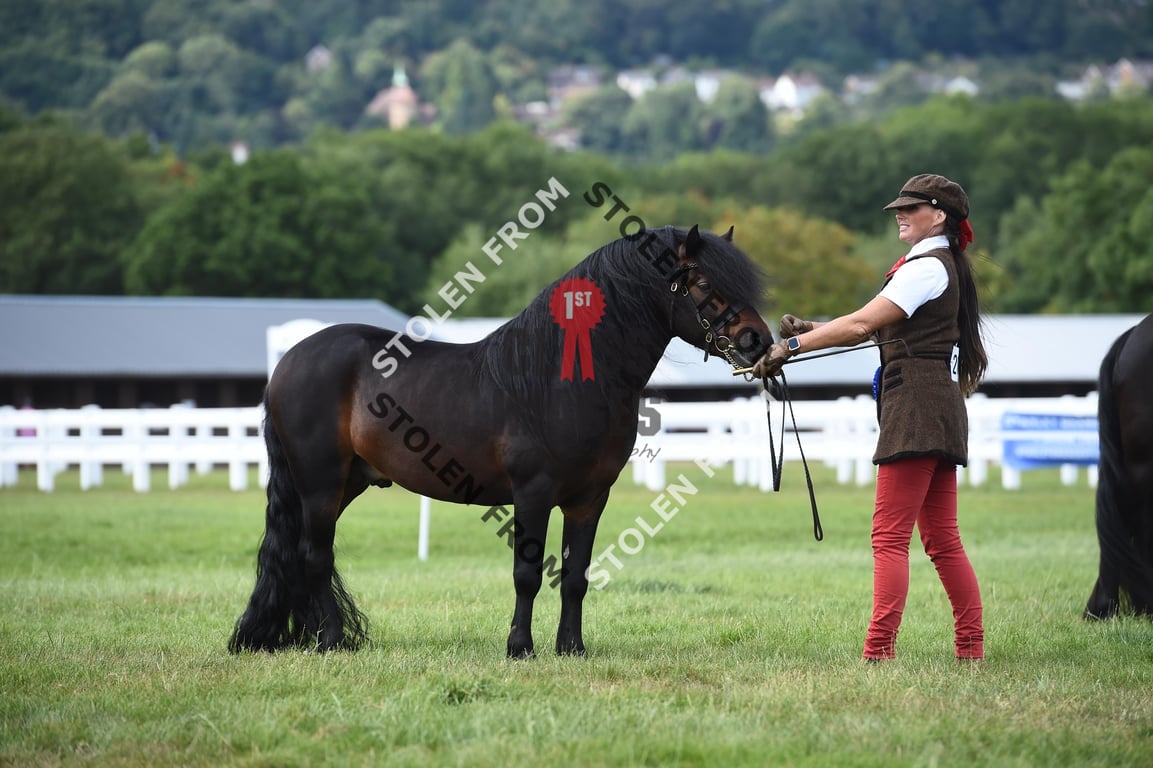 A87_8110 2024 - 1st Class Images