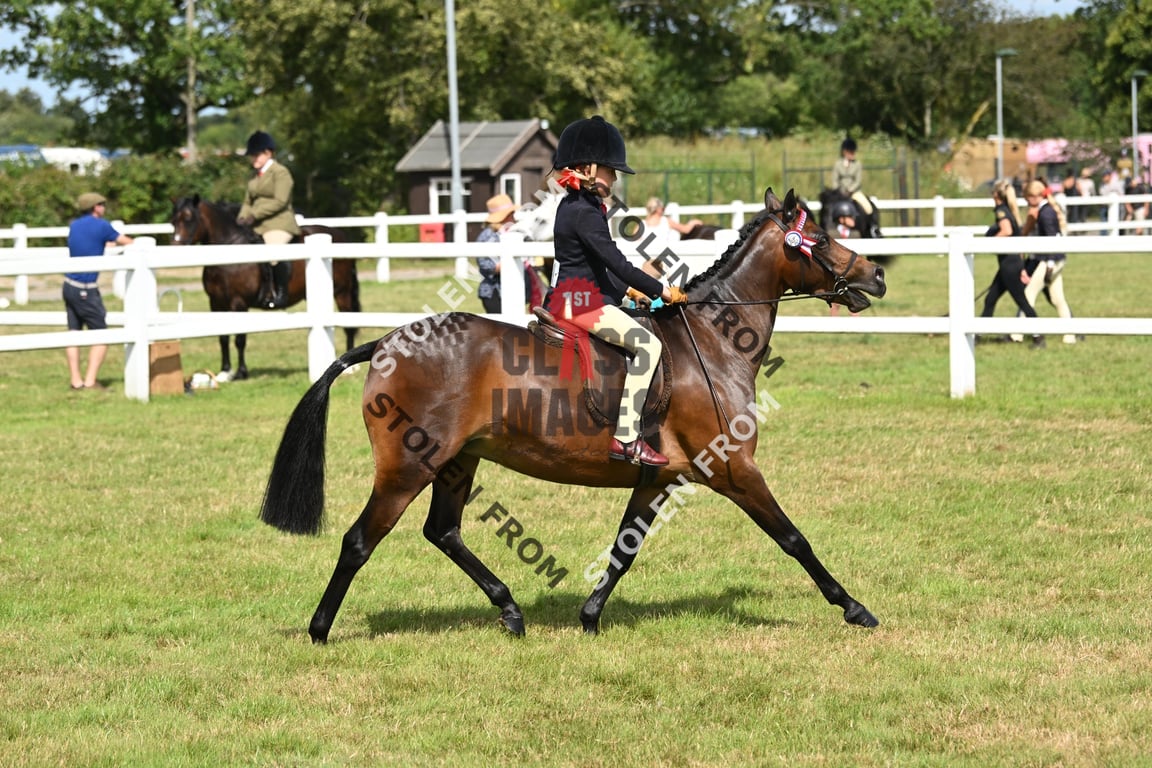 N87_6932 2024 - 1st Class Images