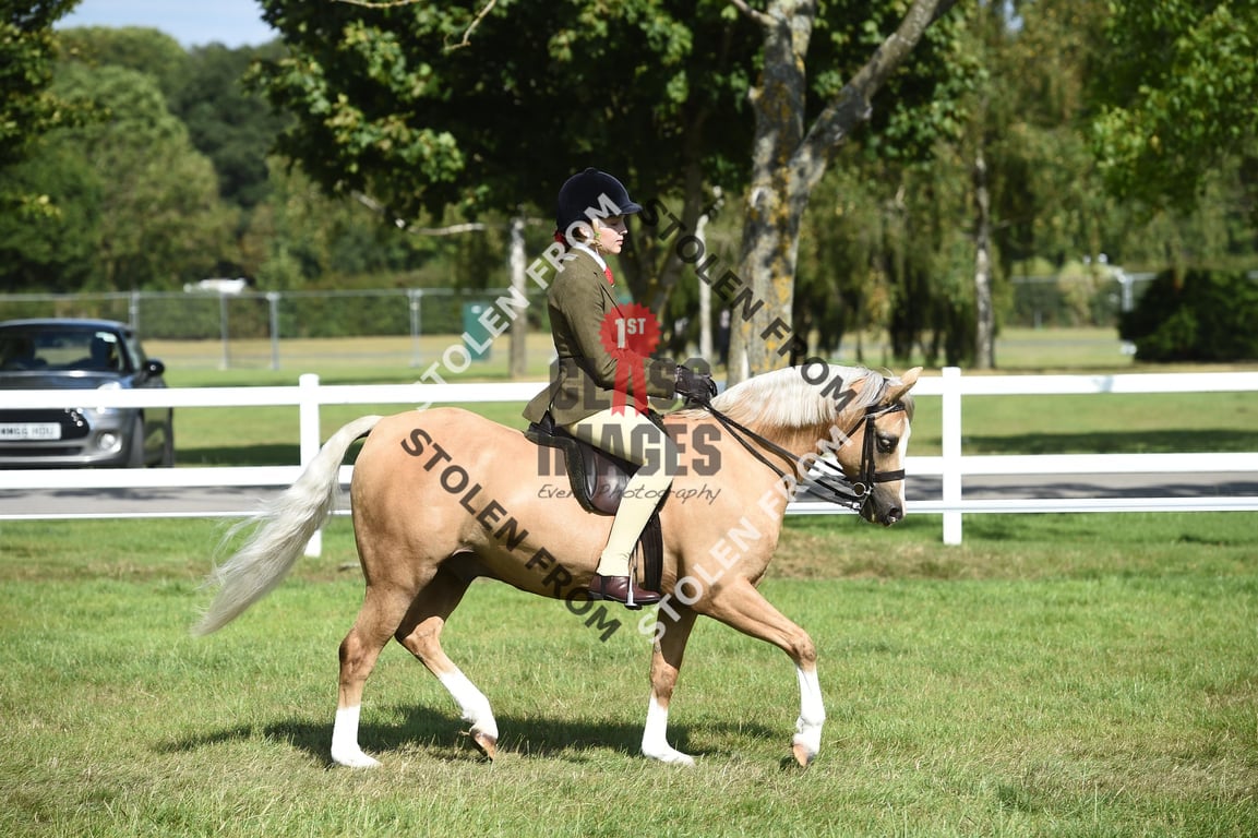 A87_8653 2024 - 1st Class Images