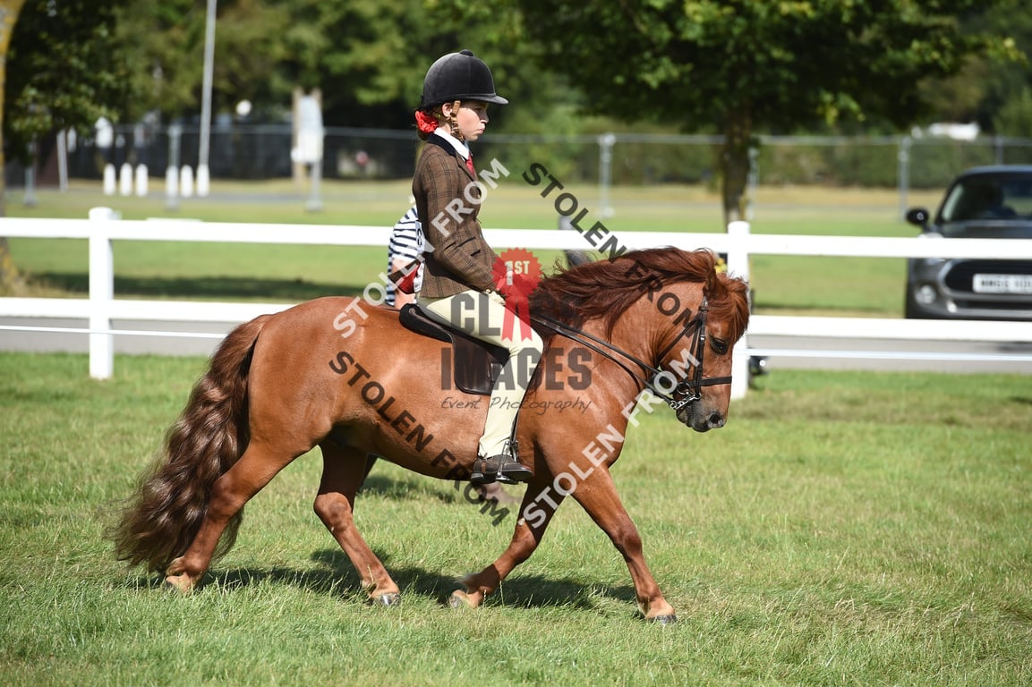 A87_8660 2024 - 1st Class Images