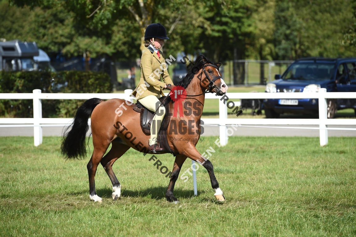 A87_8664 2024 - 1st Class Images