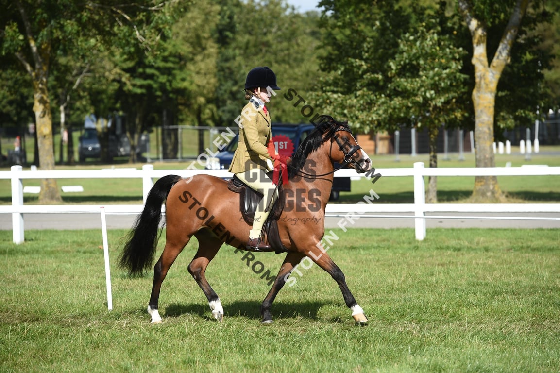 A87_8665 2024 - 1st Class Images