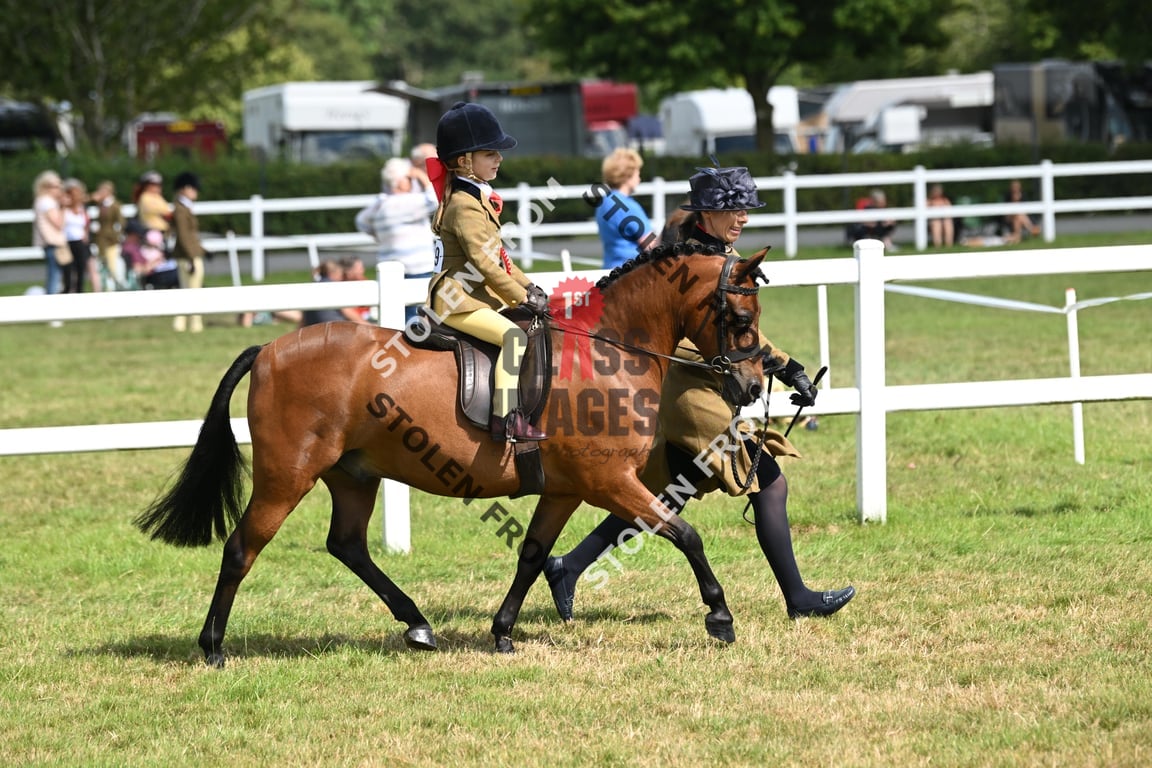 N87_6979 2024 - 1st Class Images