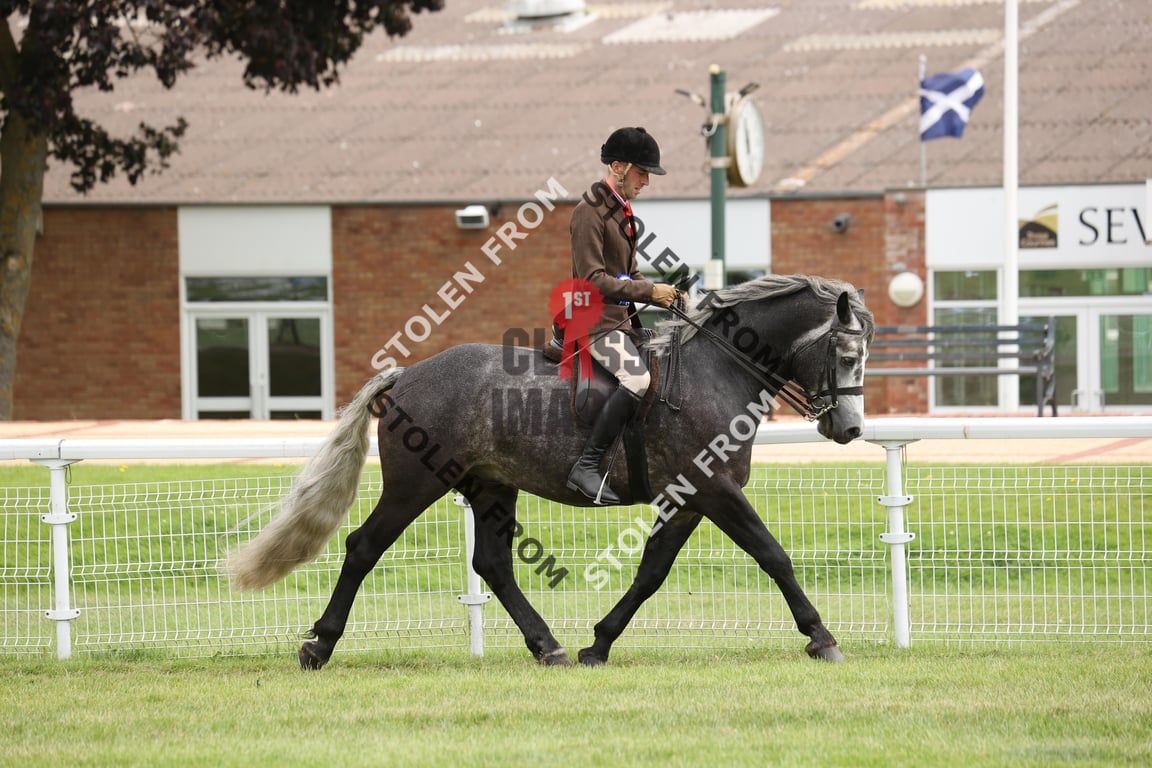 H88_8348 2024 - 1st Class Images