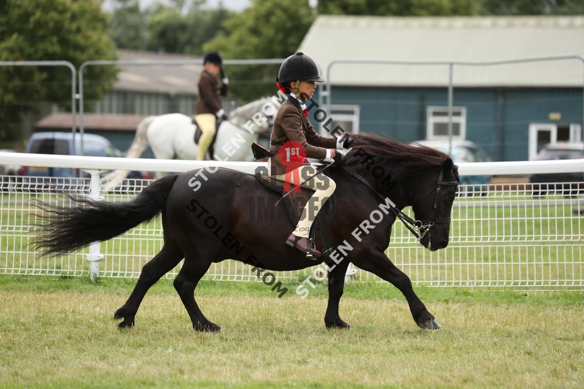 H88_8389 2024 - 1st Class Images