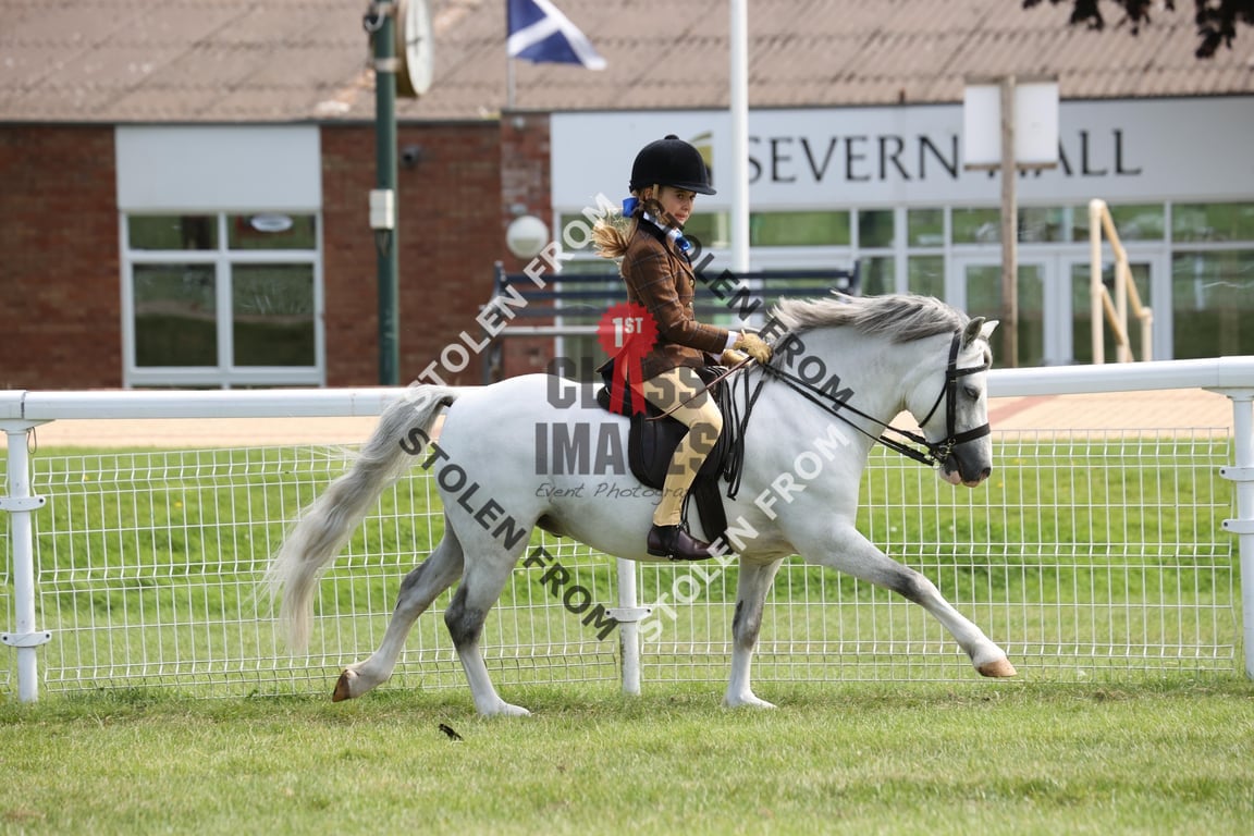 H88_8549 2024 - 1st Class Images