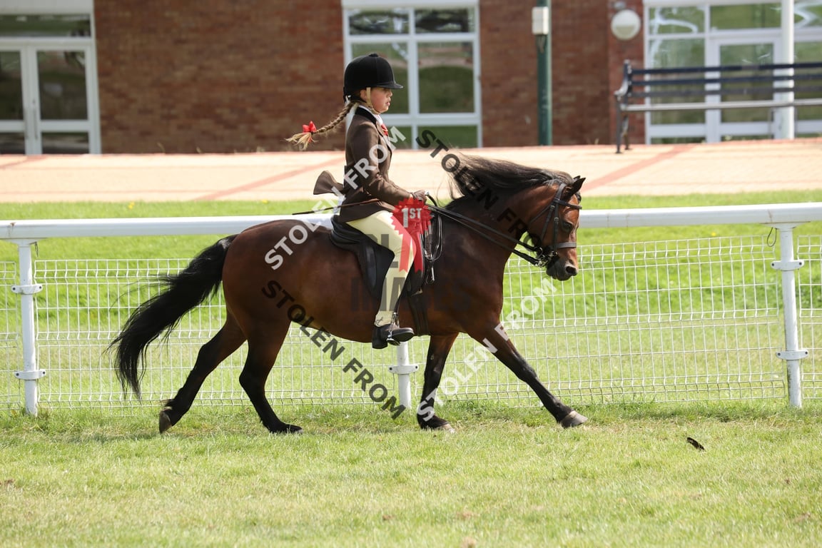 H88_8579 2024 - 1st Class Images