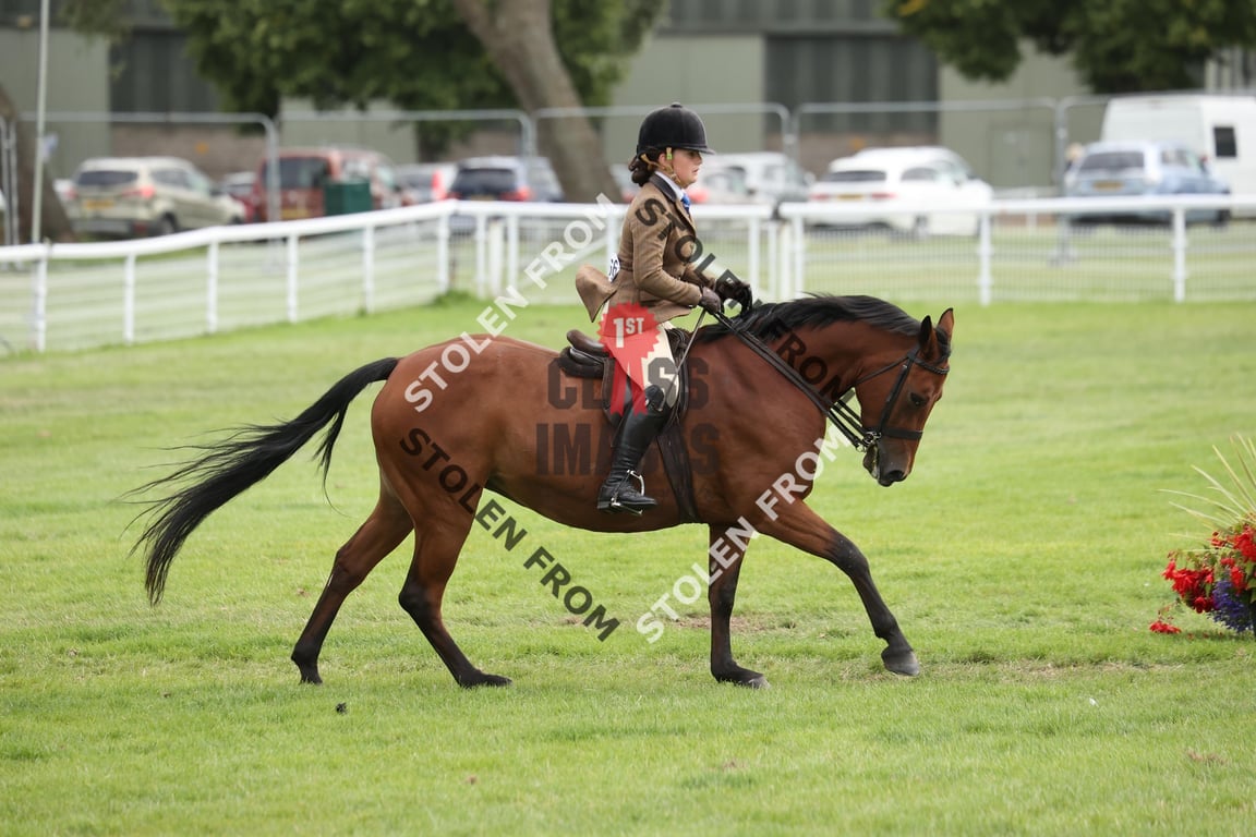 H88_9486 2024 - 1st Class Images