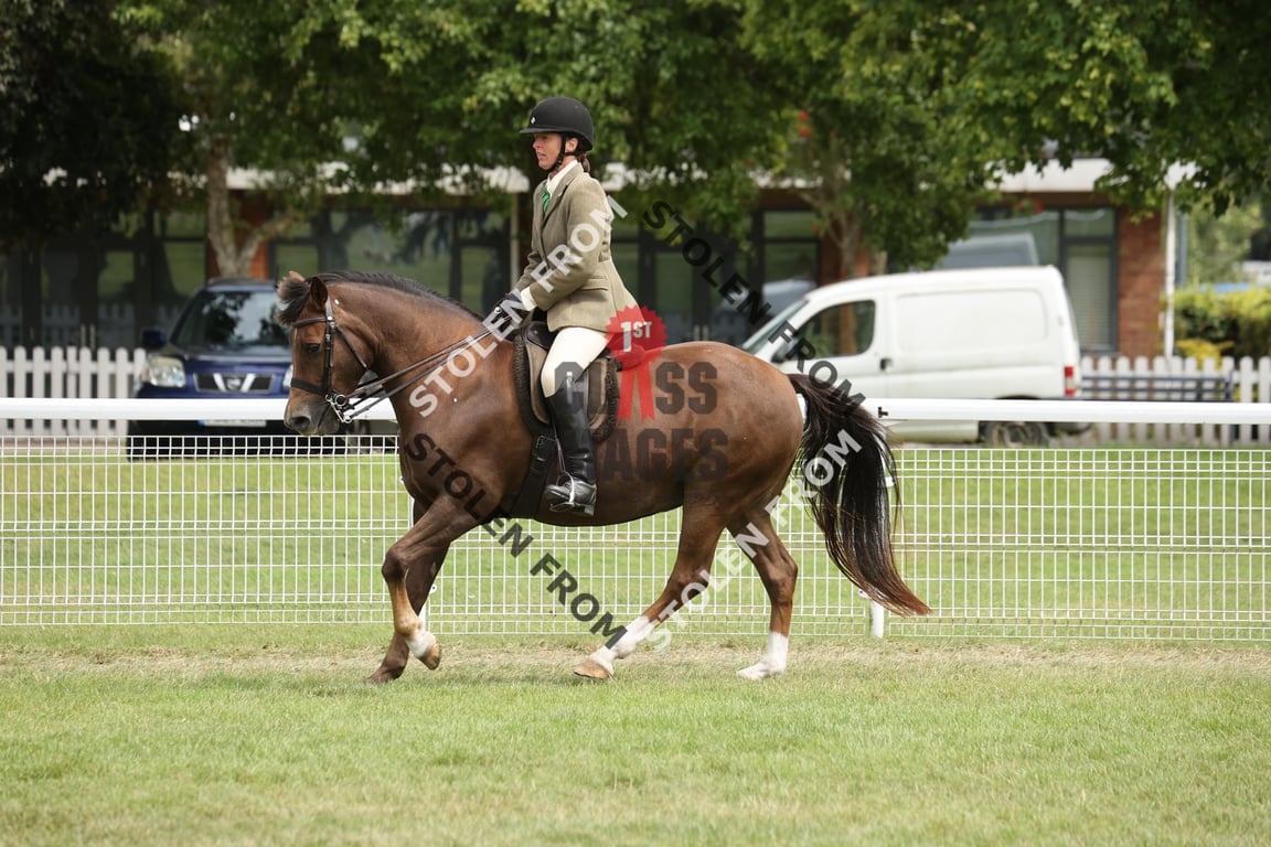 H88_9509 2024 - 1st Class Images