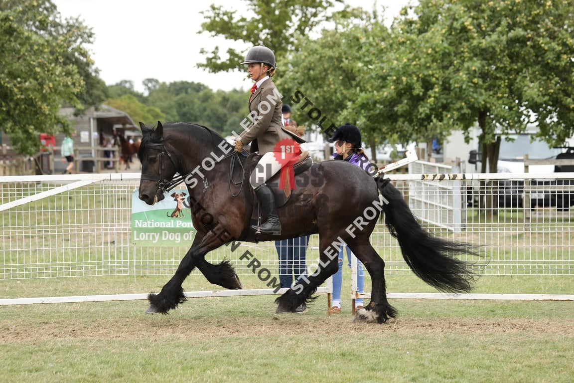 K88_0380 2024 - 1st Class Images