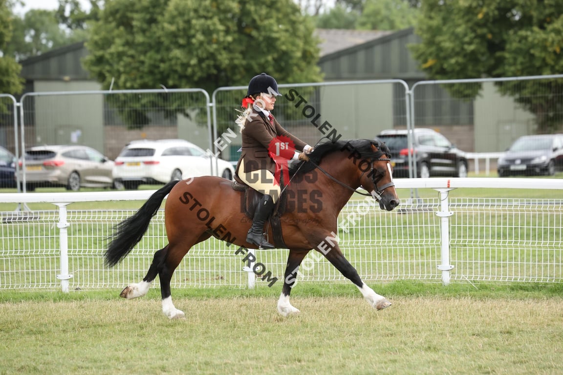 K88_0813 2024 - 1st Class Images