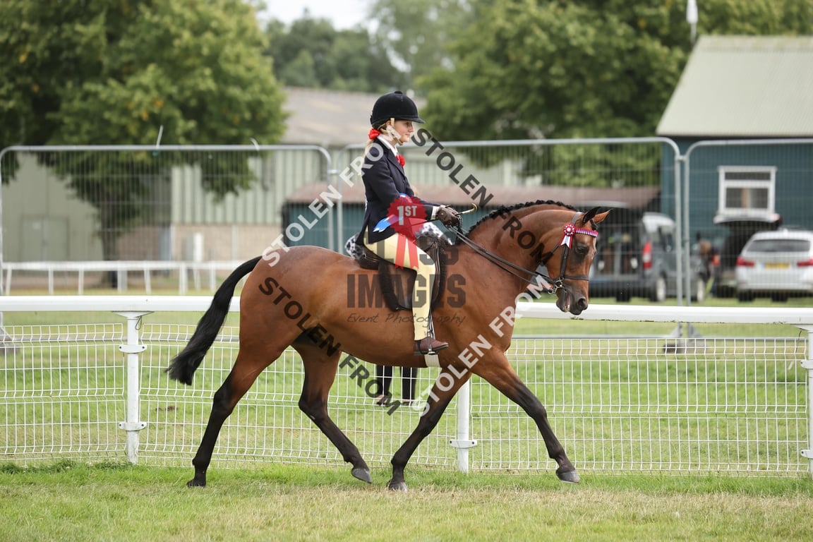 K88_1081 2024 - 1st Class Images