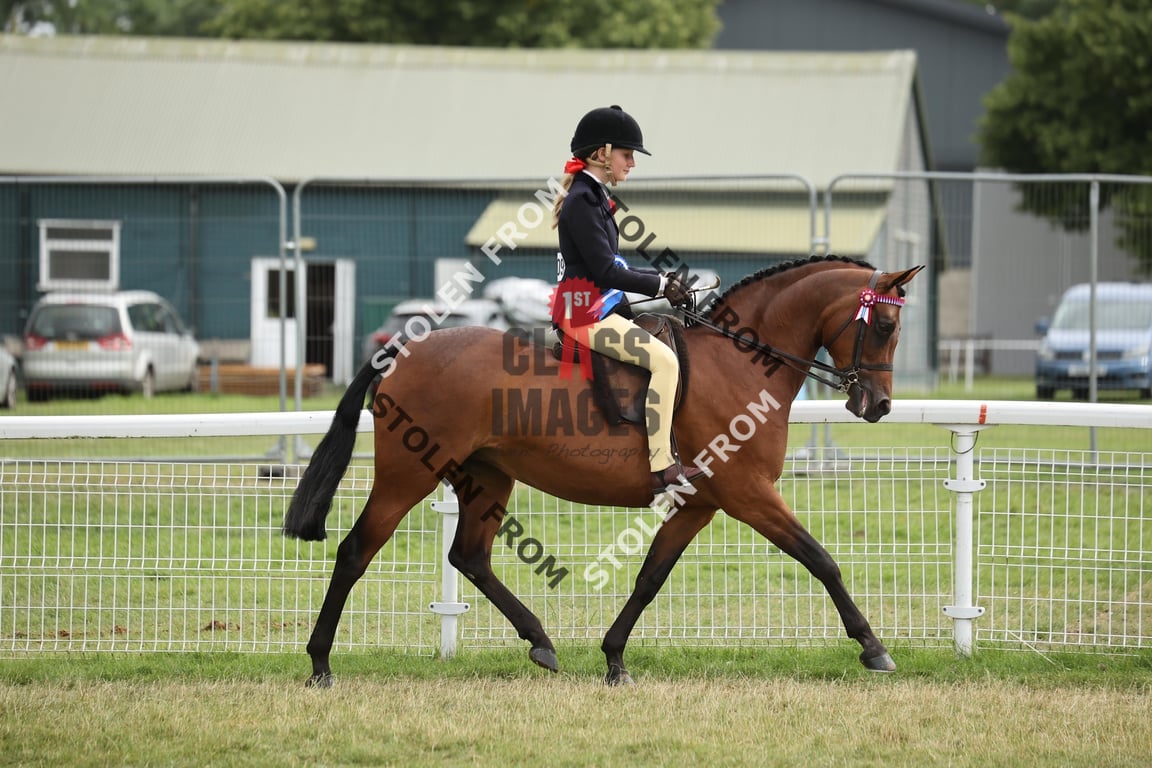 K88_1083 2024 - 1st Class Images