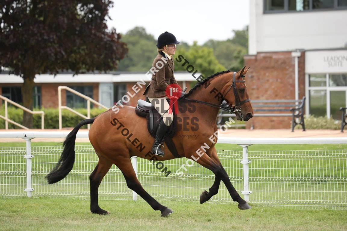 K88_1309 2024 - 1st Class Images