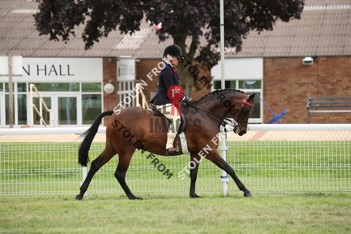 K88_1390 2024 - 1st Class Images