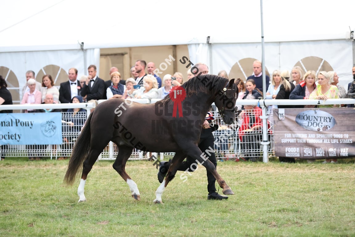 K88_2394 2024 - 1st Class Images