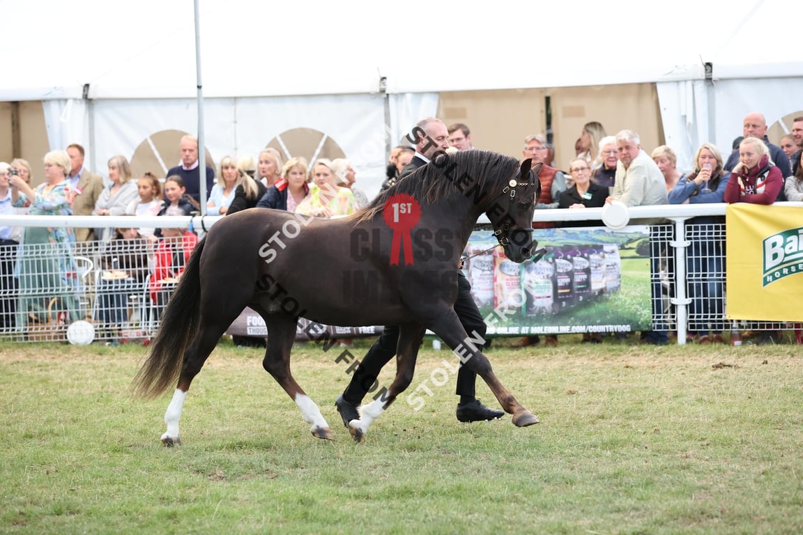 K88_2395 2024 - 1st Class Images