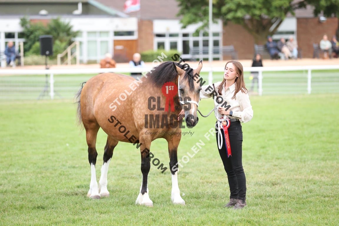 K88_2404 2024 - 1st Class Images