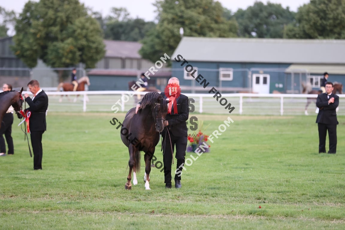 K88_2431 2024 - 1st Class Images