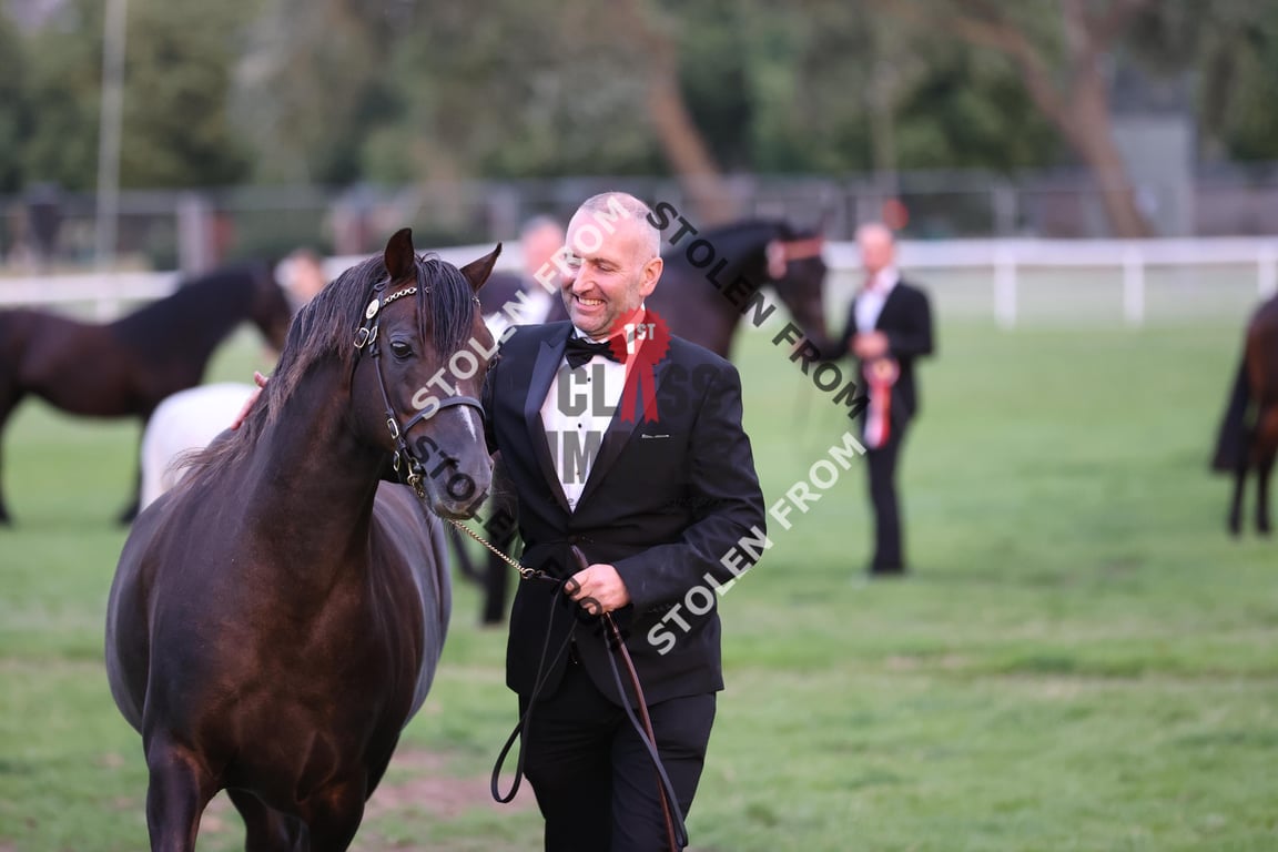 K88_2436 2024 - 1st Class Images