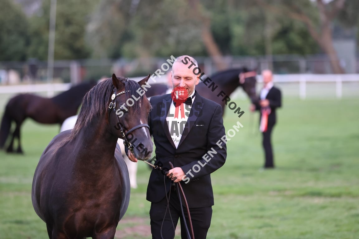 K88_2437 2024 - 1st Class Images