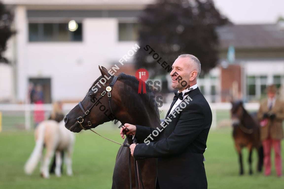 K88_2439 2024 - 1st Class Images