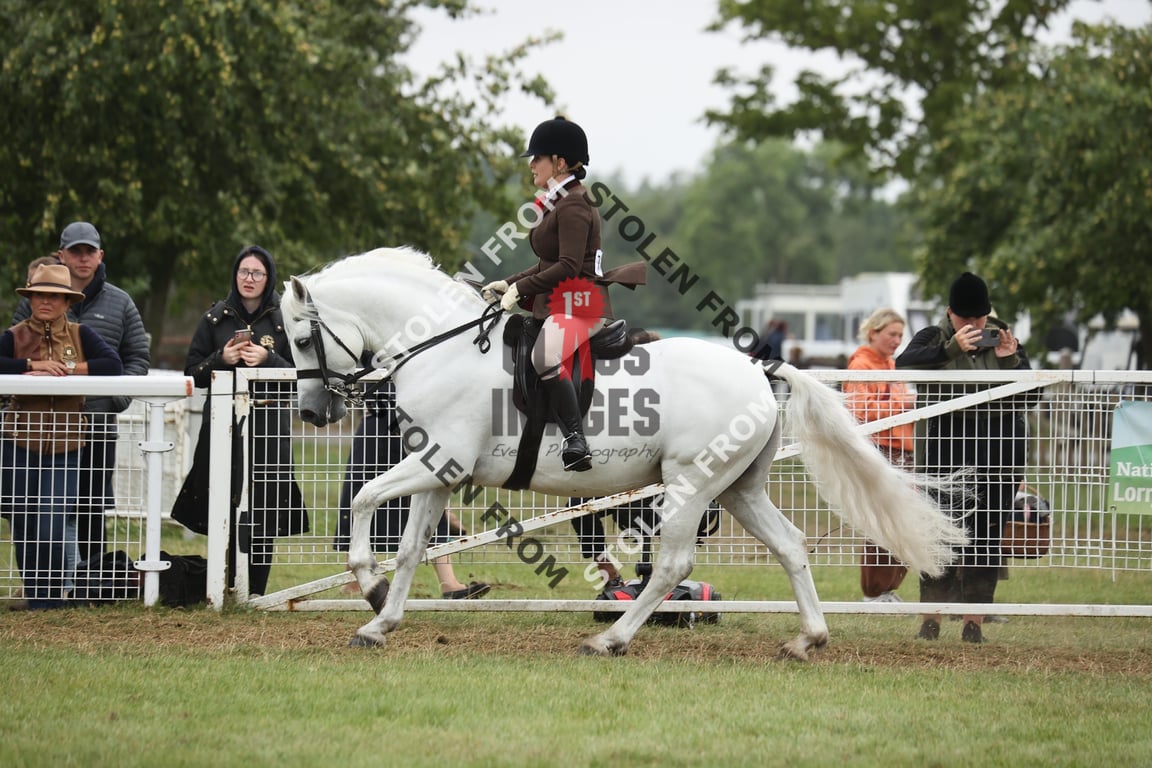 K89_4407 2024 - 1st Class Images