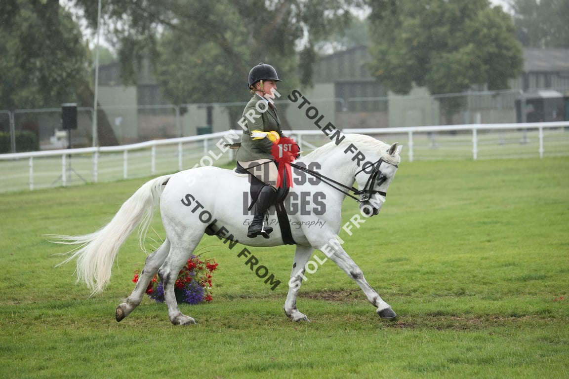 K89_4509 2024 - 1st Class Images