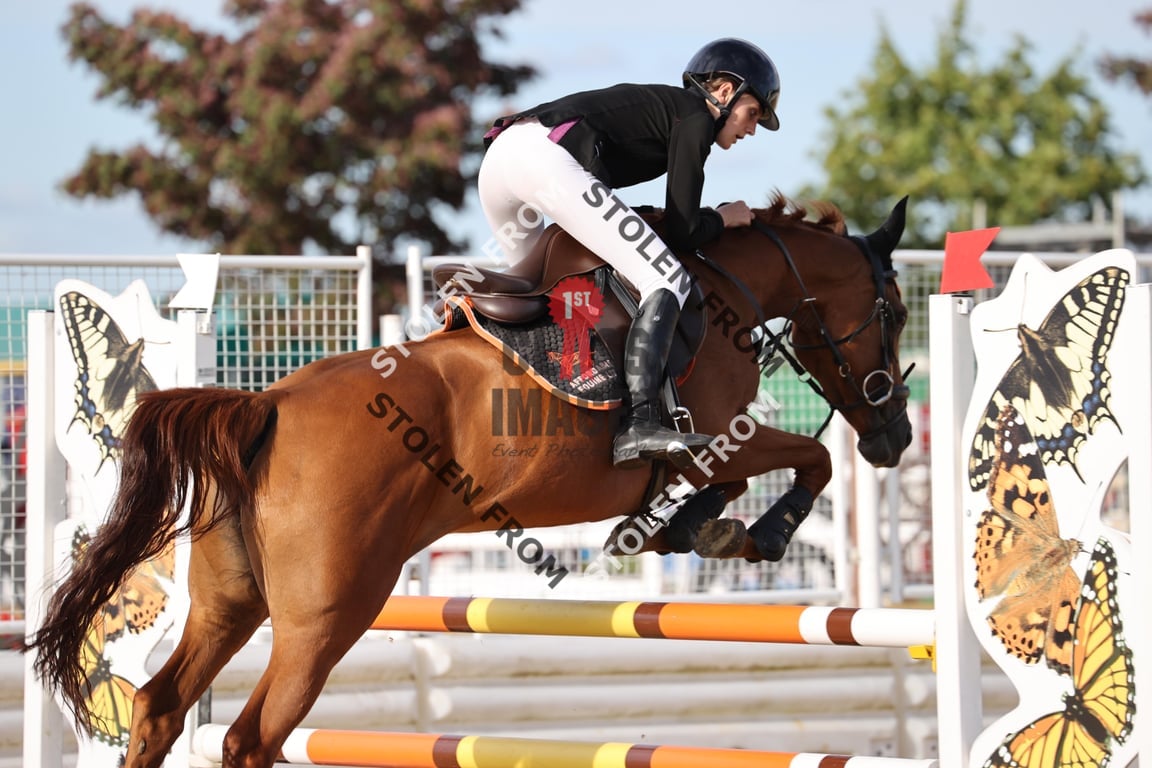 Z84_3330 2024 - 1st Class Images