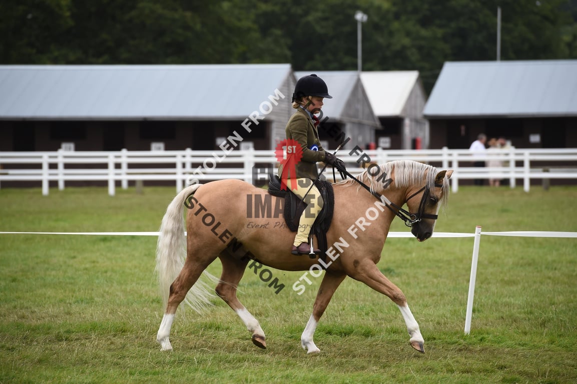 A89_1865 2024 - 1st Class Images