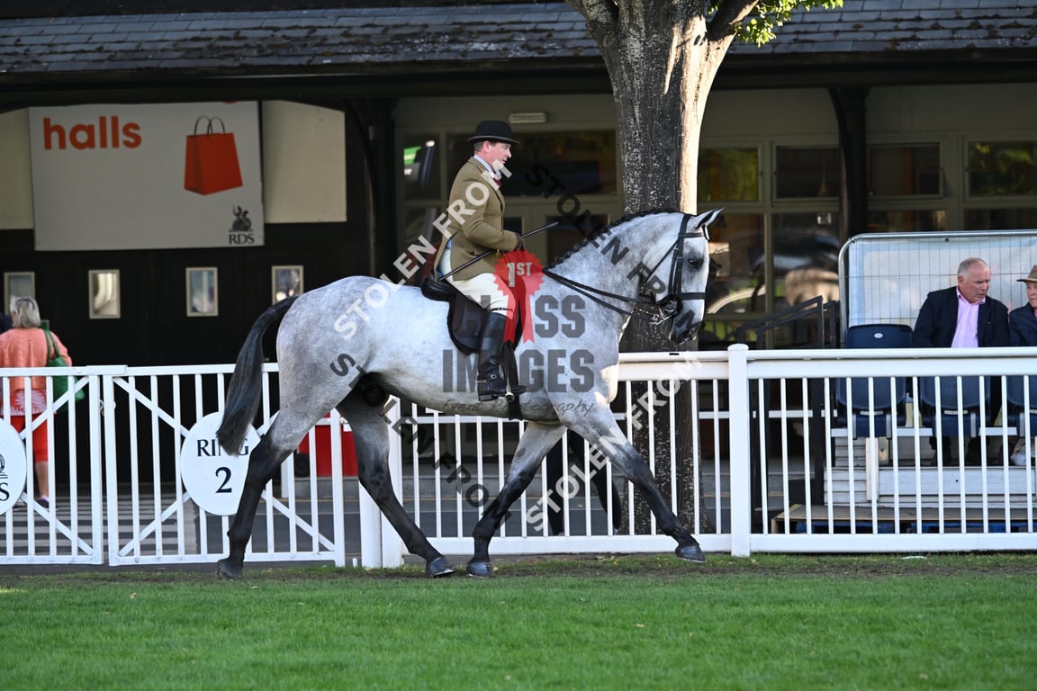 N93_0031 2024 - 1st Class Images