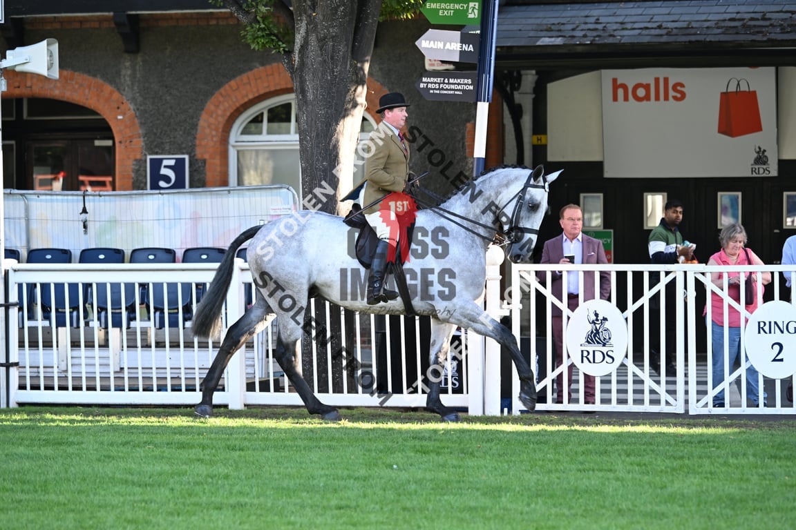 N93_0088 2024 - 1st Class Images