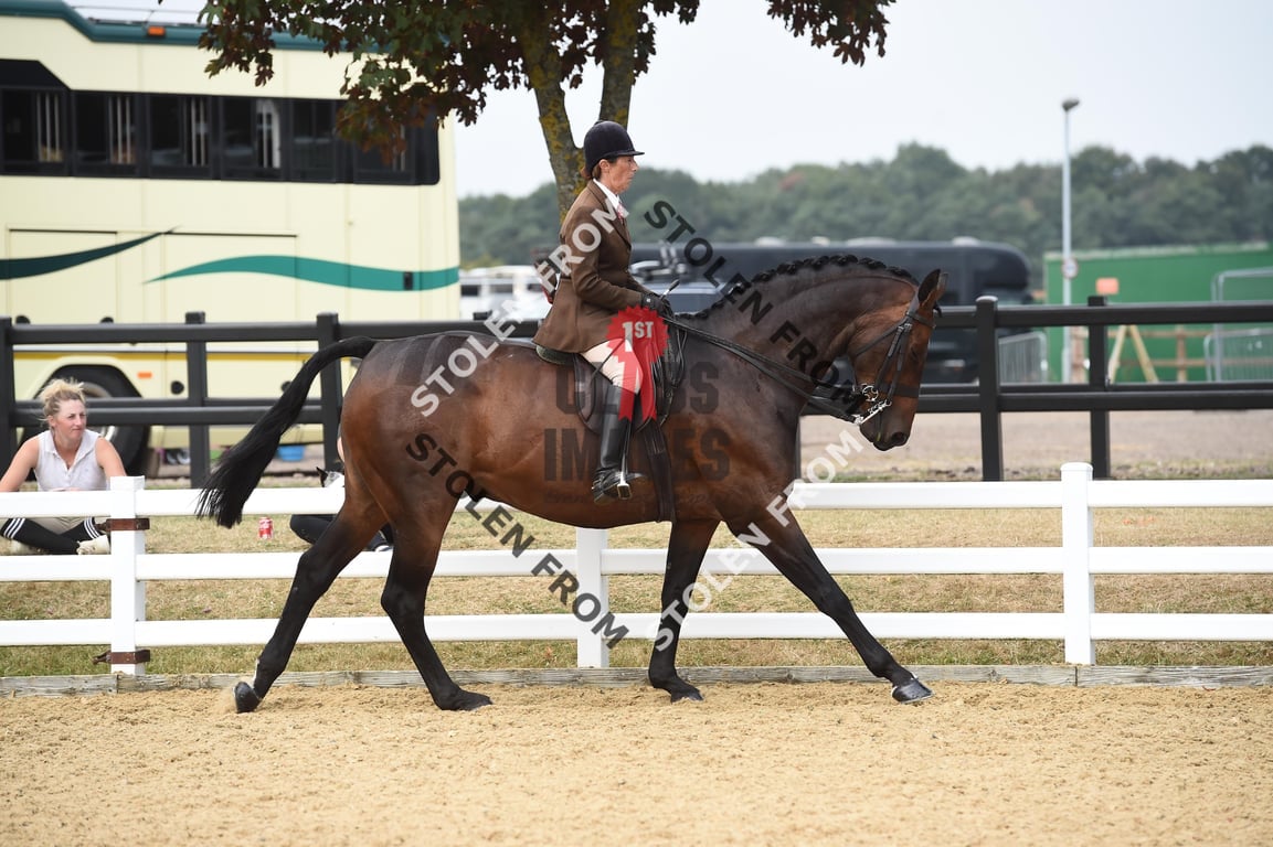 AA2_5189 2024 - 1st Class Images