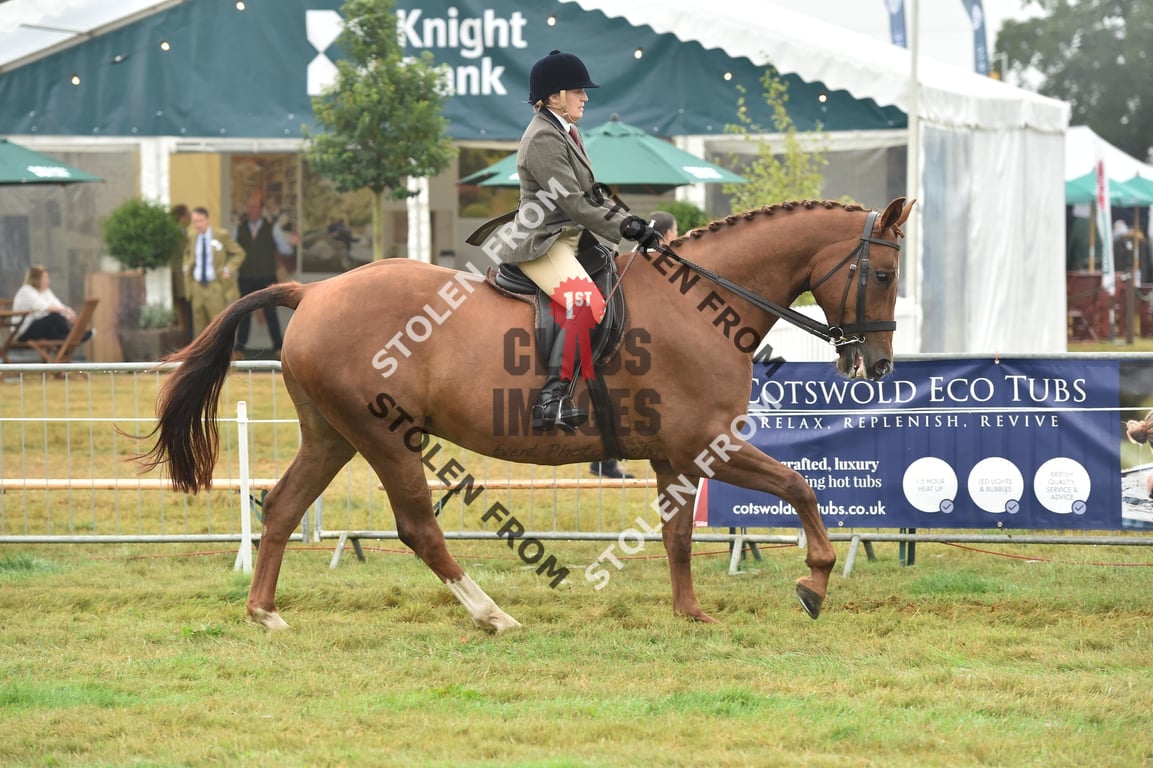 DA8_9130 2024 - 1st Class Images