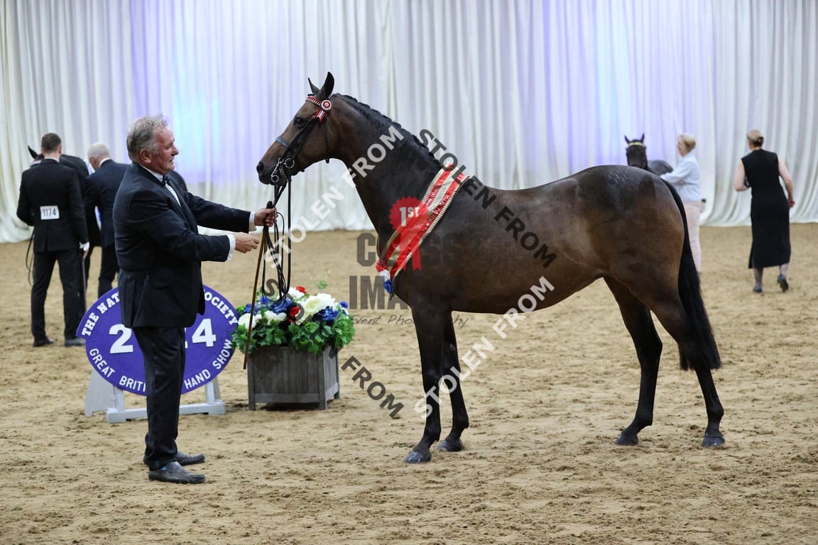 SA9_1865 2024 - 1st Class Images