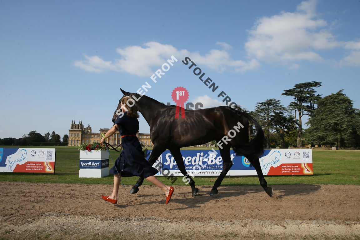 CC1_5346 2024 - 1st Class Images