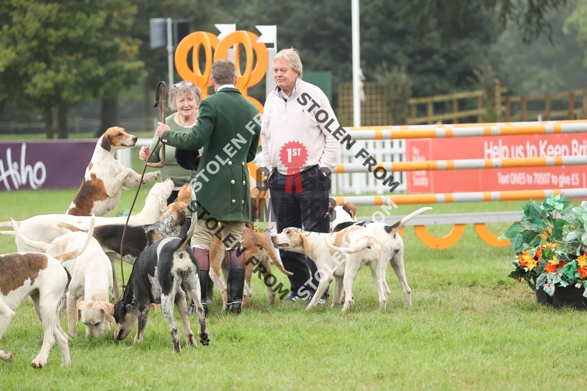 DC4_2661 2024 - 1st Class Images